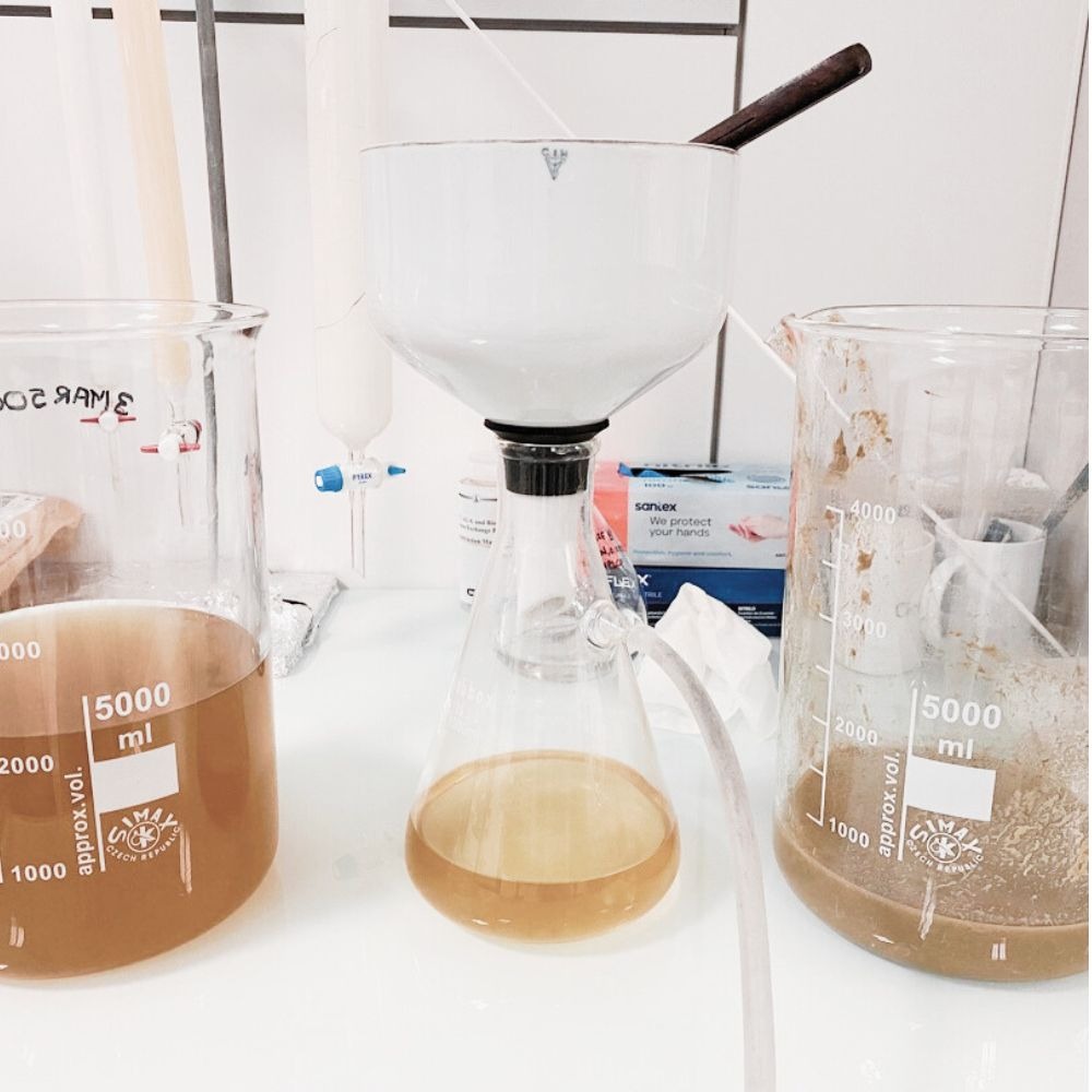 How do we produce Domoic Acid?: Extraction process - CIFGA